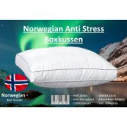 Veiling Veiling van diverse goederen o.a. Werkhandschoenen & Norwegian ...